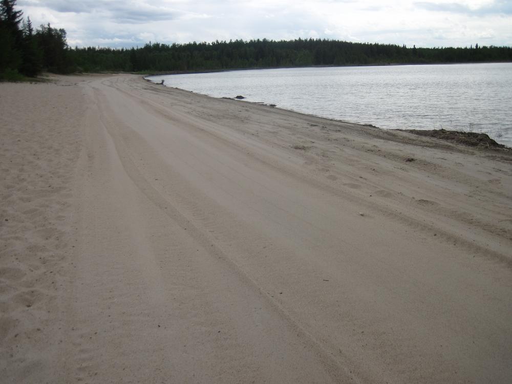 Meadow Lake Provincial Park at Matheson Lake Campground - Swim Guide